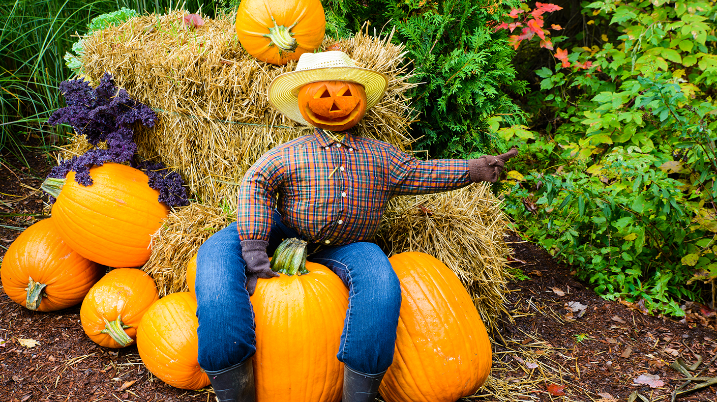 How to Make a DIY Happy Scarecrow for Halloween | Goodwill Greater ...